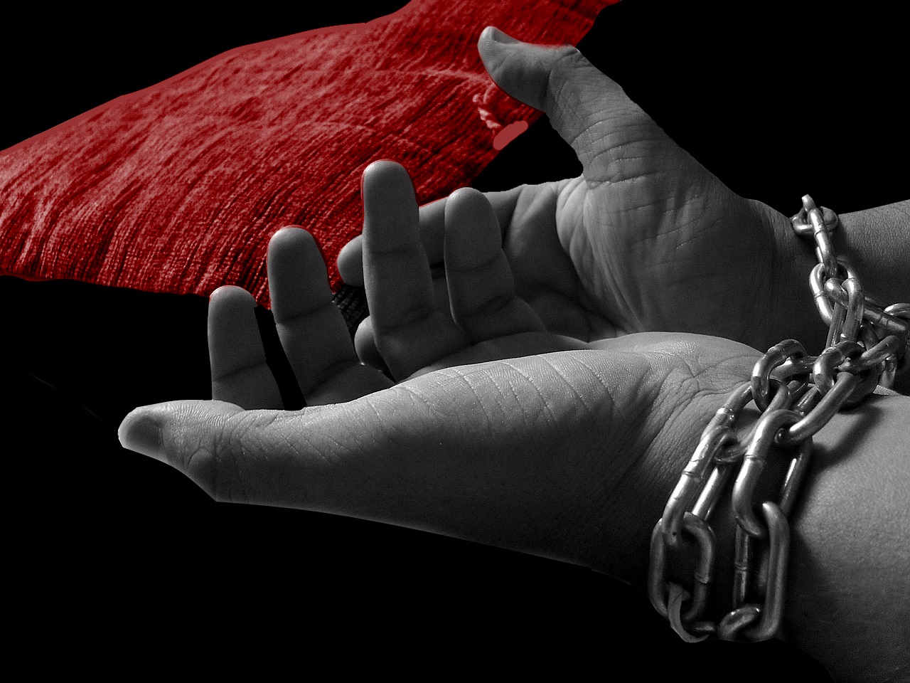 Remember My Chains – A Tree Firmly Planted